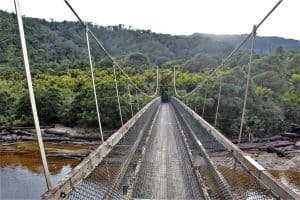 The Best West Coast Walks You Don't Want To Miss - New Zealand South Island