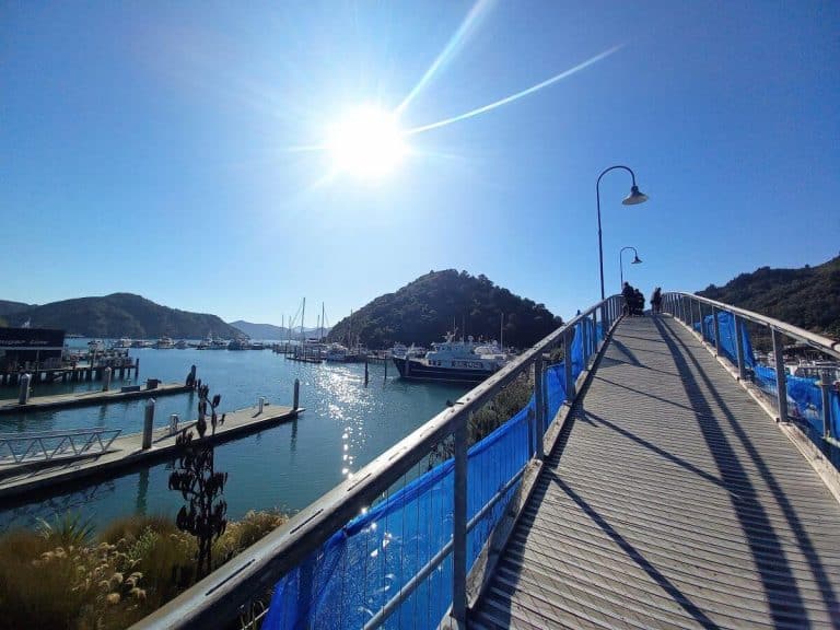 20 Top Things to Do in Picton, New Zealand