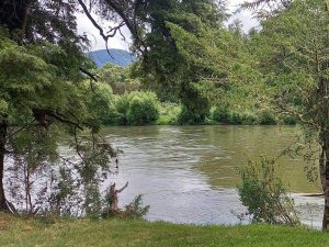 Don't Miss These Fun Things To Do In Murchison New Zealand