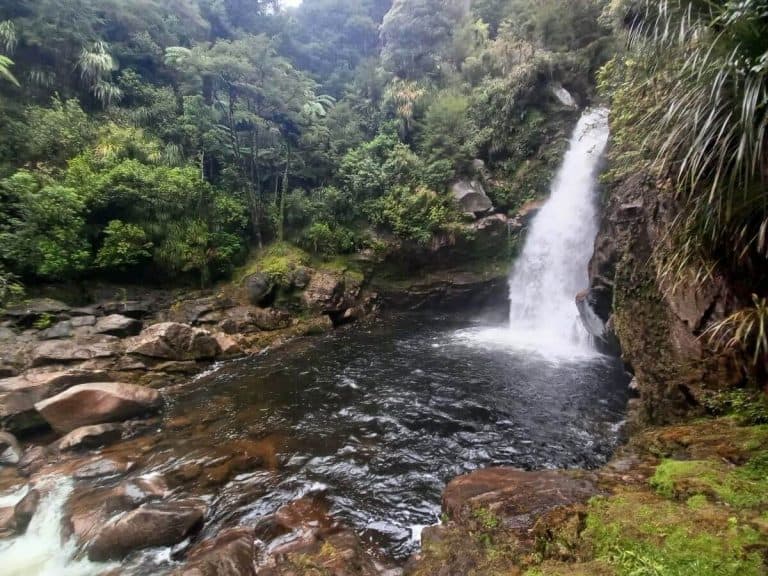 Awesome Things to Do in Pohara, NZ