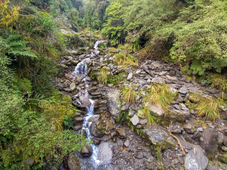 Callery Gorge Walk: Visiting Franz Josef's Turquoise River