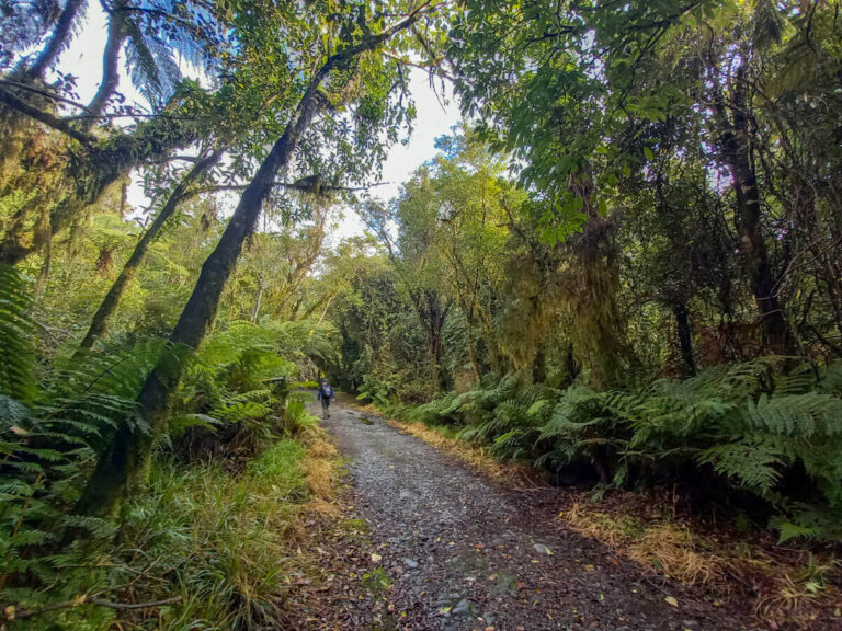 Callery Gorge Walk: Visiting Franz Josef's Turquoise River